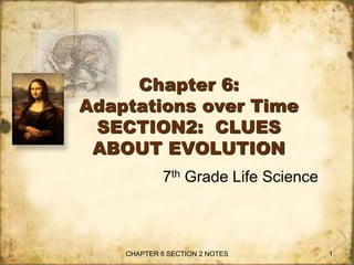 Chapter 6 section 2 (clues about evolution) | PPTX