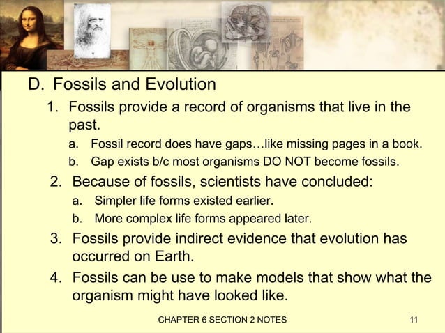 Chapter 6 section 2 (clues about evolution) | PPT