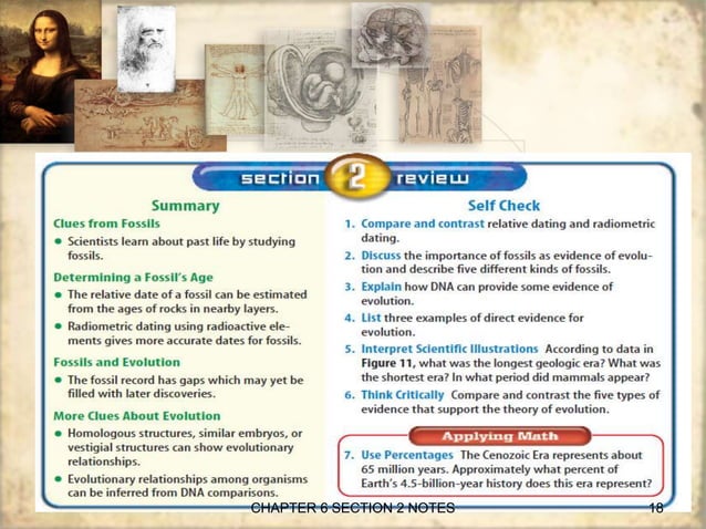 Chapter 6 section 2 (clues about evolution) | PPTX