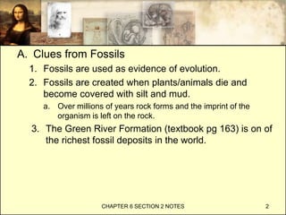Chapter 6 section 2 (clues about evolution) | PPTX