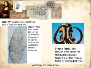 Chapter 6 section 2 (clues about evolution) | PPTX