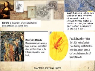 Chapter 6 section 2 (clues about evolution) | PPTX