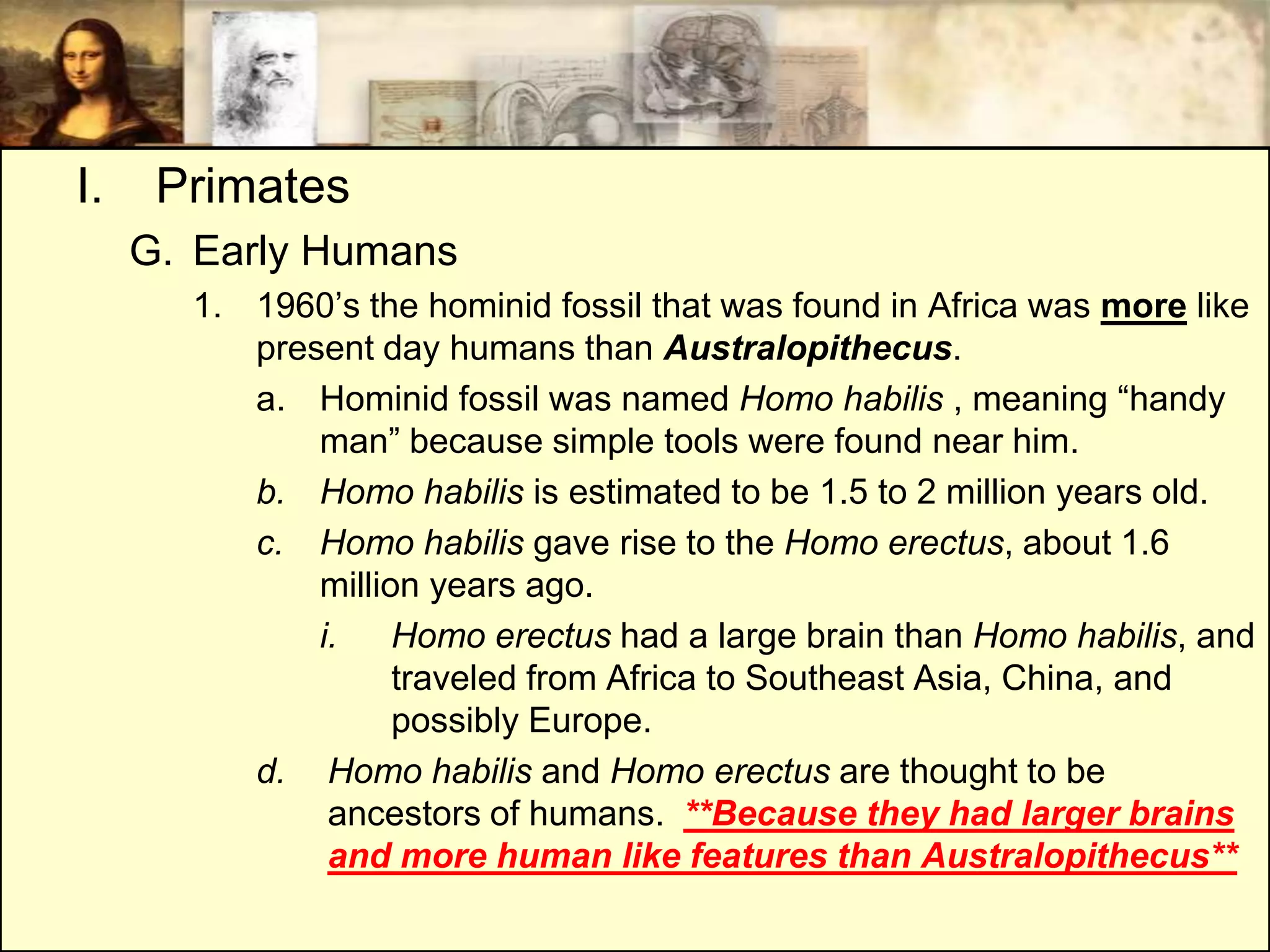 Chapter 6 section 3 (evolution of primates) | PPTX