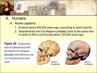 Chapter 6 section 3 (evolution of primates) | PPTX | Geology | Science