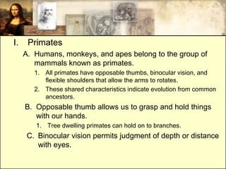 Chapter 6 section 3 (evolution of primates) | PPTX | Geology | Science