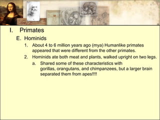Chapter 6 section 3 (evolution of primates) | PPTX | Geology | Science