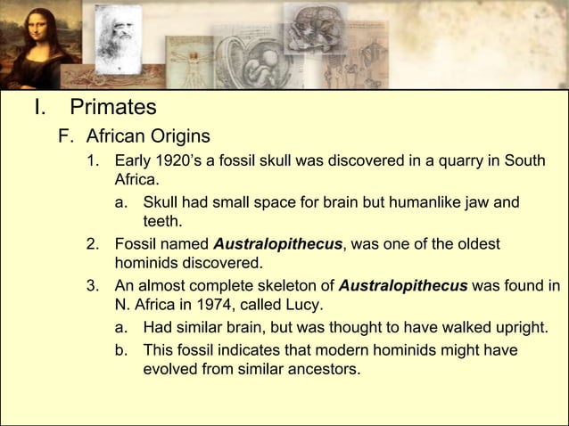Chapter 6 section 3 (evolution of primates) | PPT