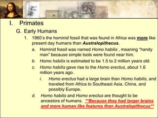 Chapter 6 section 3 (evolution of primates) | PPTX | Geology | Science