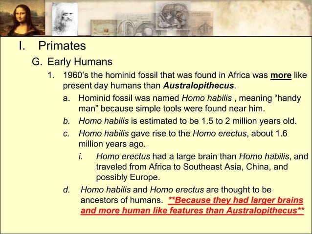 Chapter 6 section 3 (evolution of primates) | PPT