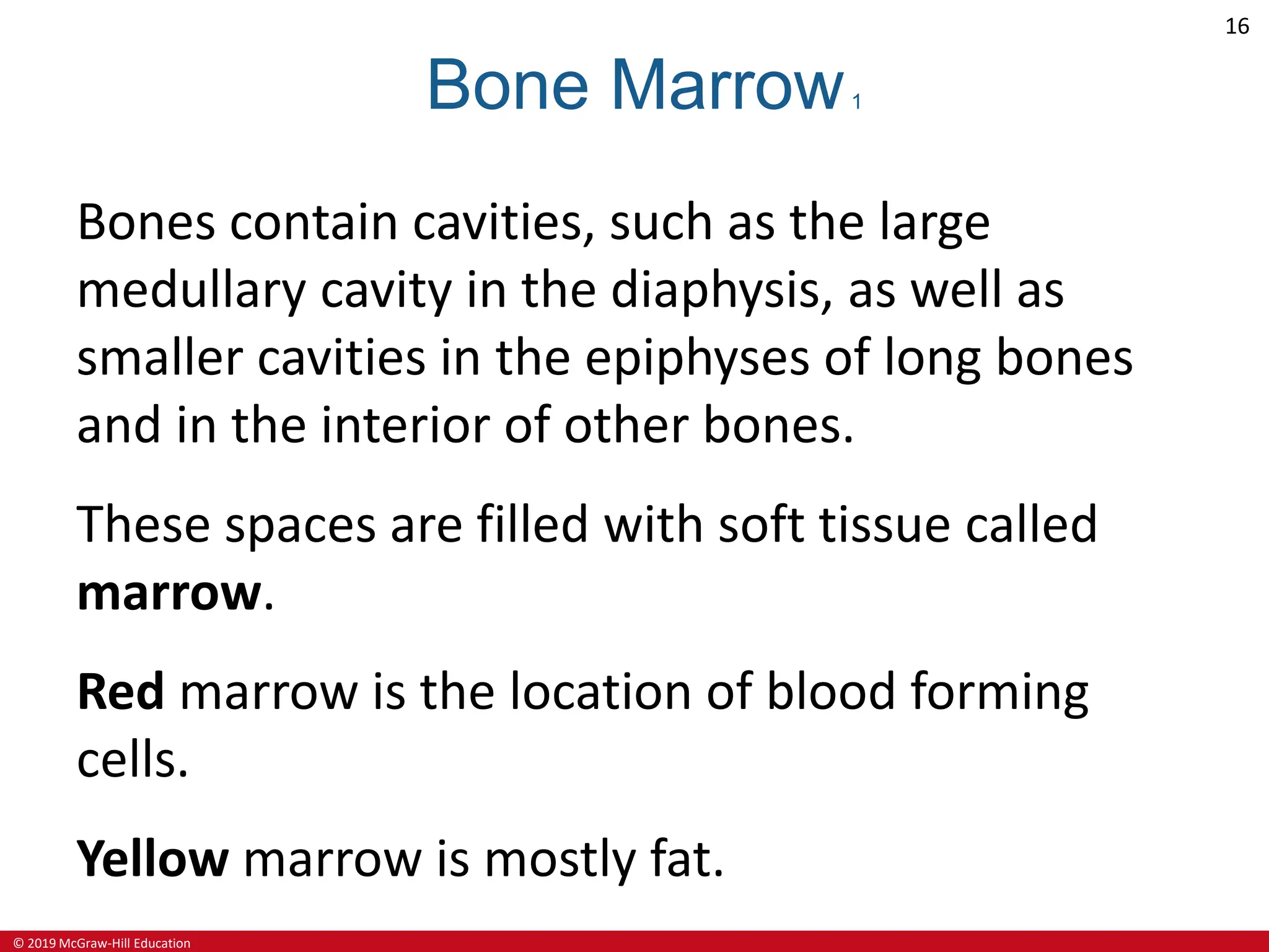 CHAPTER 6 SKELETAL SYSTEM in Anatomy and Physiologypdf | PPT