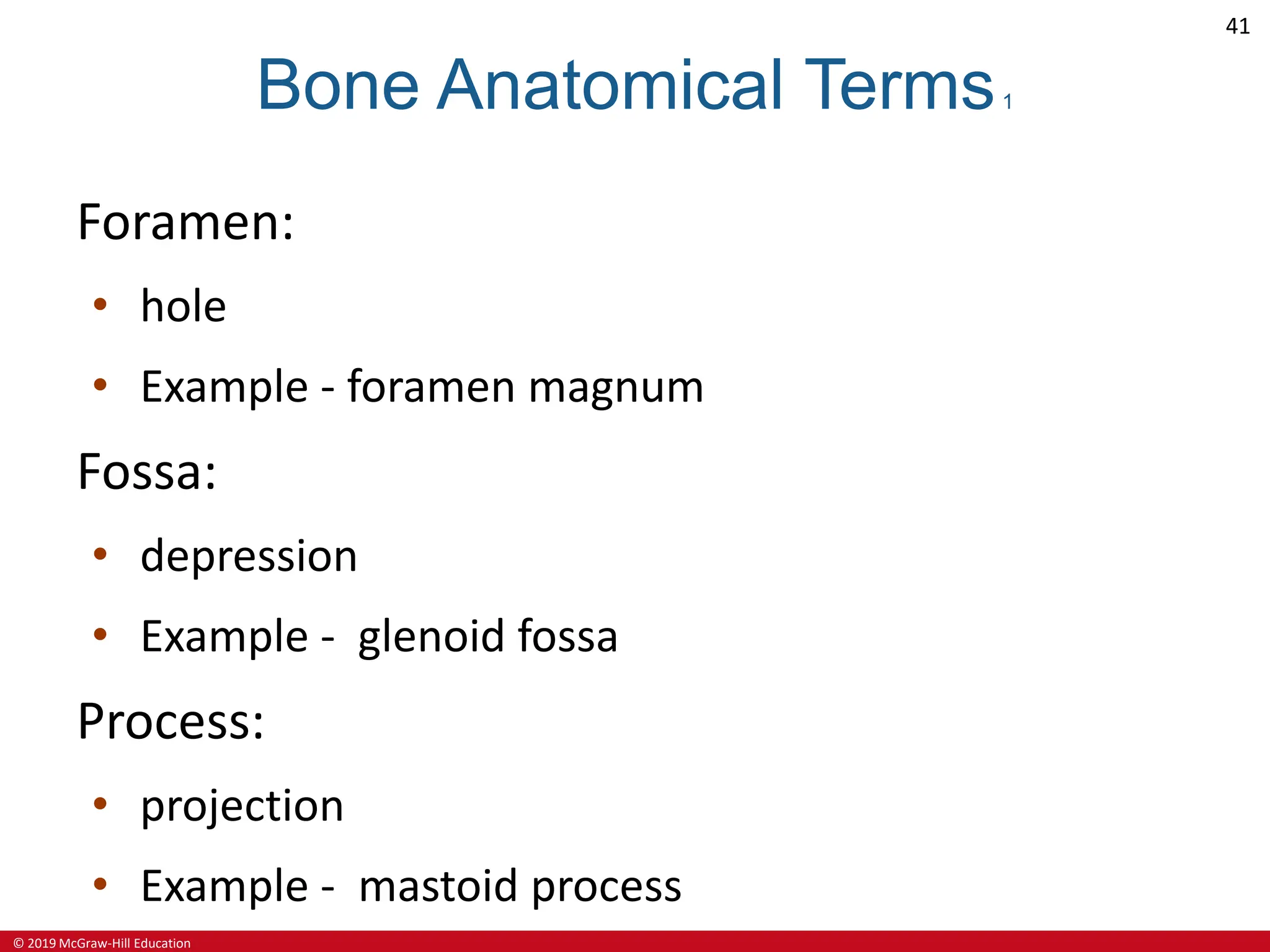 CHAPTER 6 SKELETAL SYSTEM in Anatomy and Physiologypdf | PDF