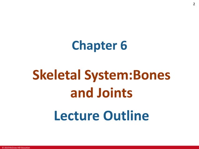 CHAPTER 6 SKELETAL SYSTEM in Anatomy and Physiologypdf | PPT