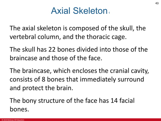 CHAPTER 6 SKELETAL SYSTEM in Anatomy and Physiologypdf | PPT