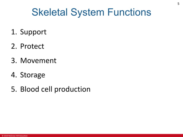 CHAPTER 6 SKELETAL SYSTEM in Anatomy and Physiologypdf | PPT