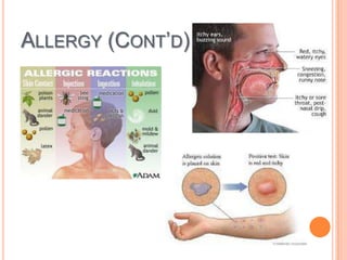 Chapter 6 terms | PPT