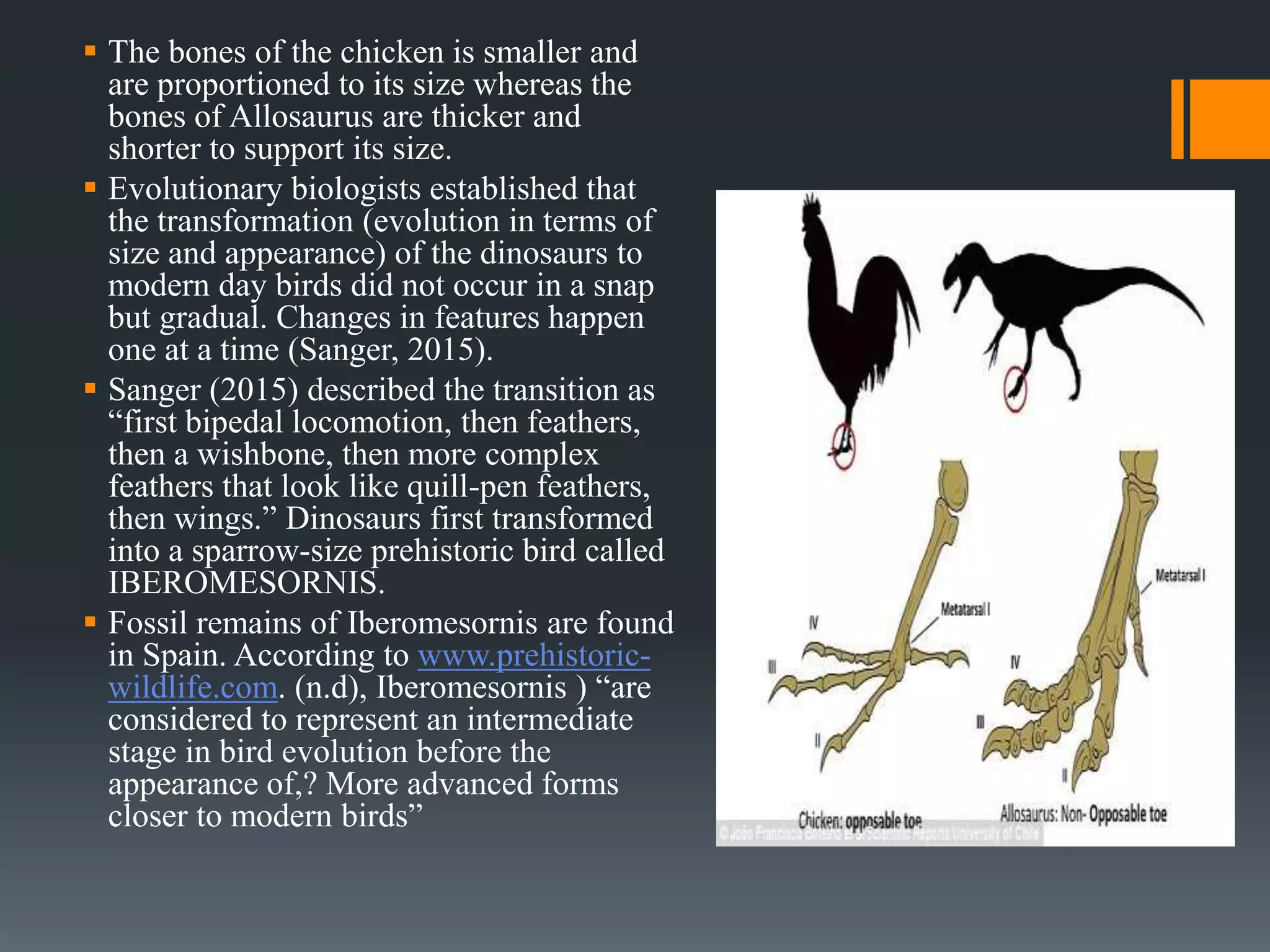 Chapter 6 : The Process of Evolution | PPTX
