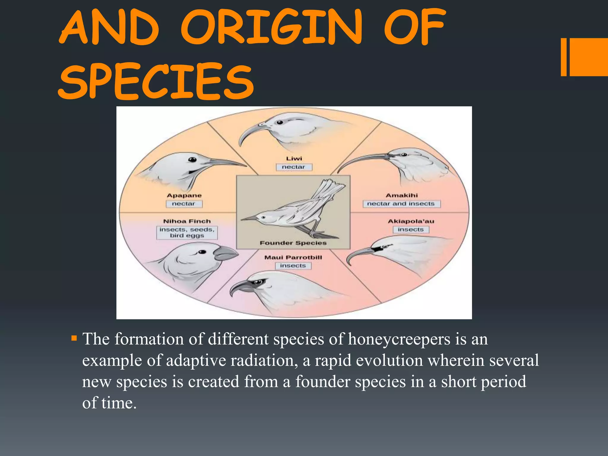 Chapter 6 : The Process of Evolution | PPTX