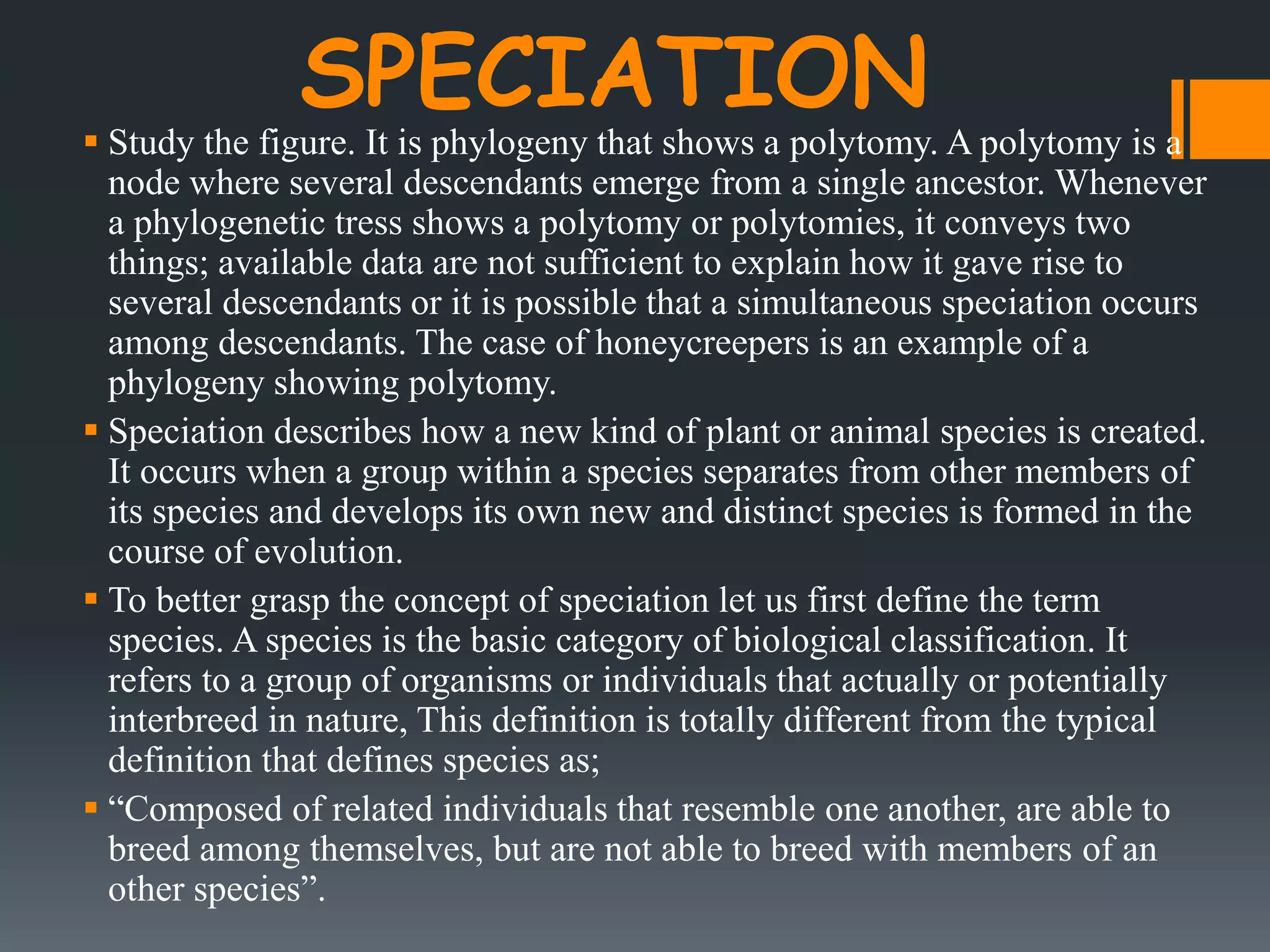 Chapter 6 : The Process of Evolution | PPTX