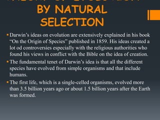 Chapter 6 : The Process of Evolution | PPTX
