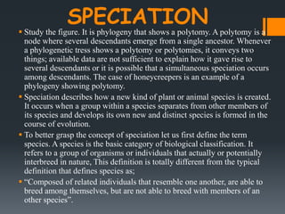 Chapter 6 : The Process of Evolution | PPTX