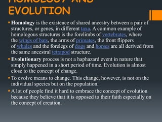 Chapter 6 : The Process of Evolution | PPTX