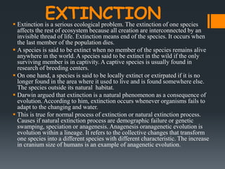 Chapter 6 : The Process of Evolution | PPTX