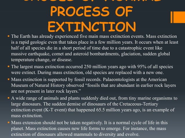 Chapter 6 : The Process of Evolution | PPTX