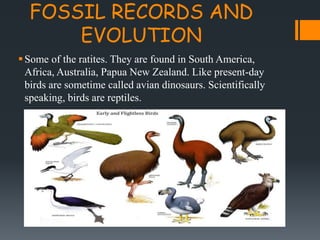 Chapter 6 : The Process of Evolution | PPTX