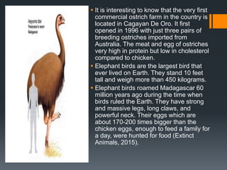 Chapter 6 : The Process of Evolution | PPTX