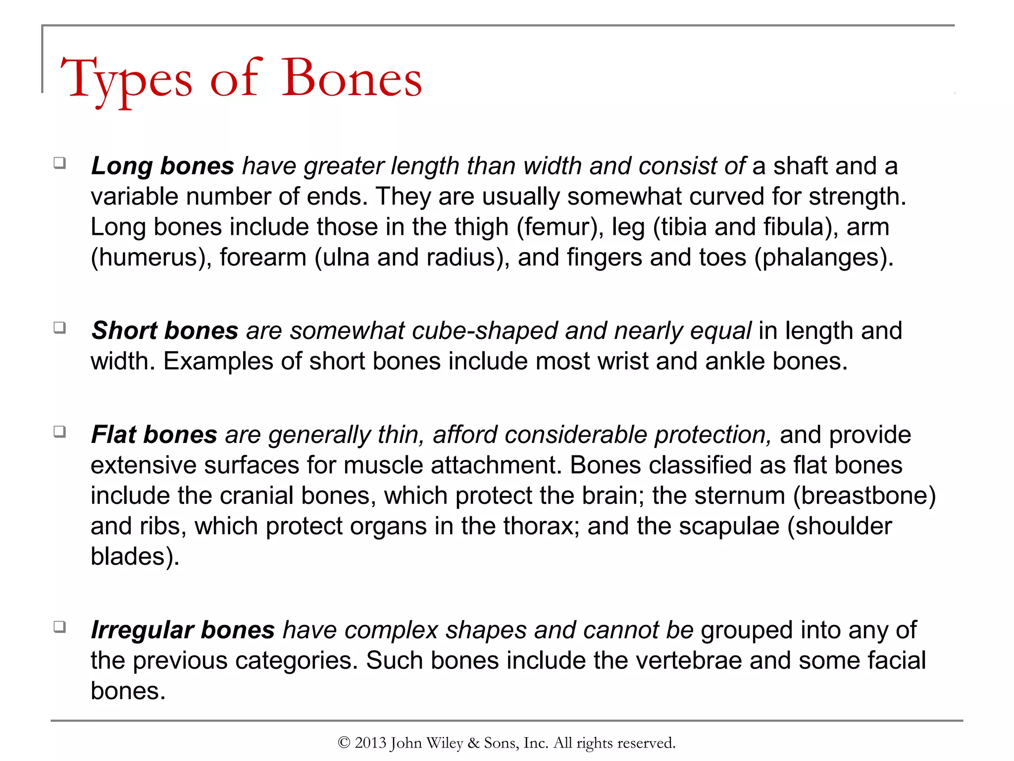 Chapter 6 the skeletal system | PPT