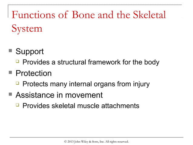 Chapter 6 the skeletal system | PPT