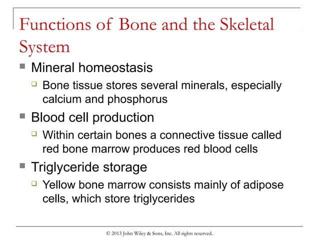 Chapter 6 the skeletal system | PPT