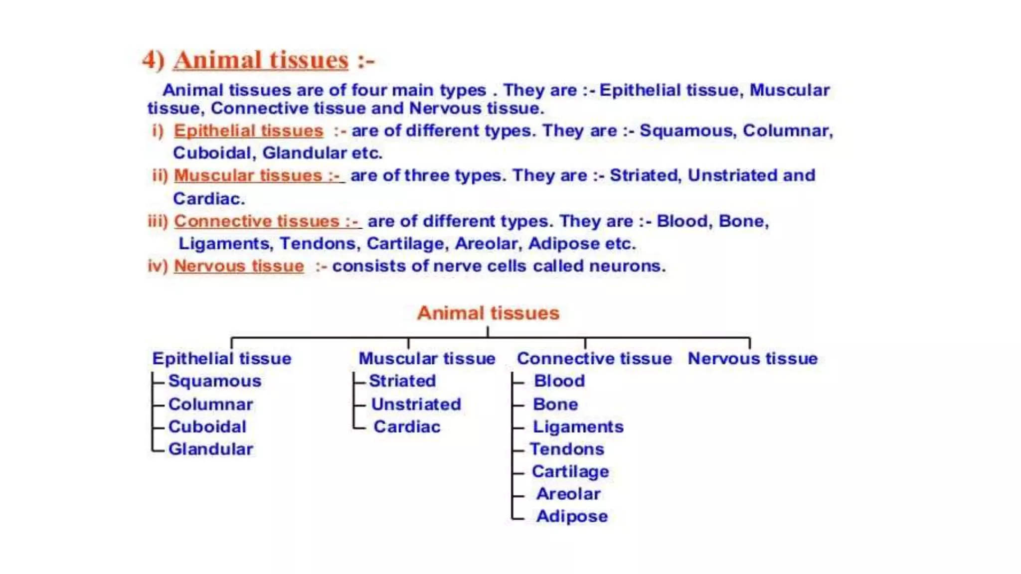 Chapter 6 tissue Class 9th | PPTX | Biological Sciences | Science