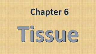 Chapter 6 tissue Class 9th | PPTX | Biological Sciences | Science