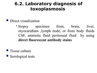Chapter 6 Toxoplasmosis Serology parasitology.ppt