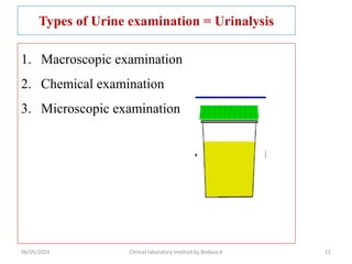 Chapter 6 urbedndenernernrnrnrnrnine.ppt