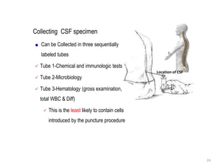Chapter 6 urbedndenernernrnrnrnrnine.ppt