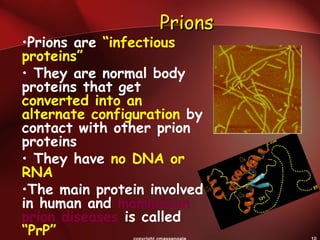 Chapter 6 viroids and prions | PPT
