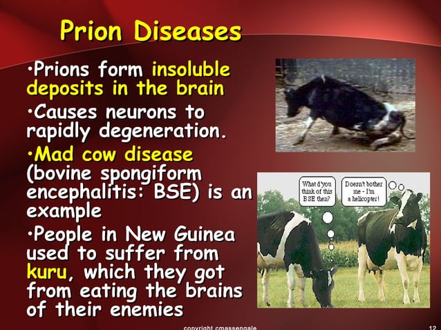 Chapter 6 viroids and prions | PPT