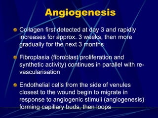 Chapter 6 woundhealing | PPT