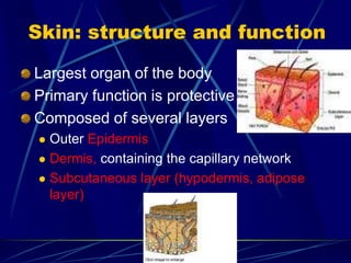 Chapter 6 woundhealing | PPT