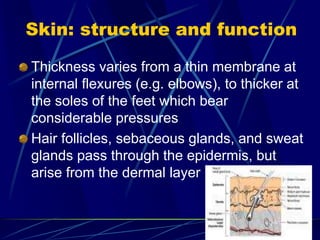 Chapter 6 management and healing woundhealing.ppt