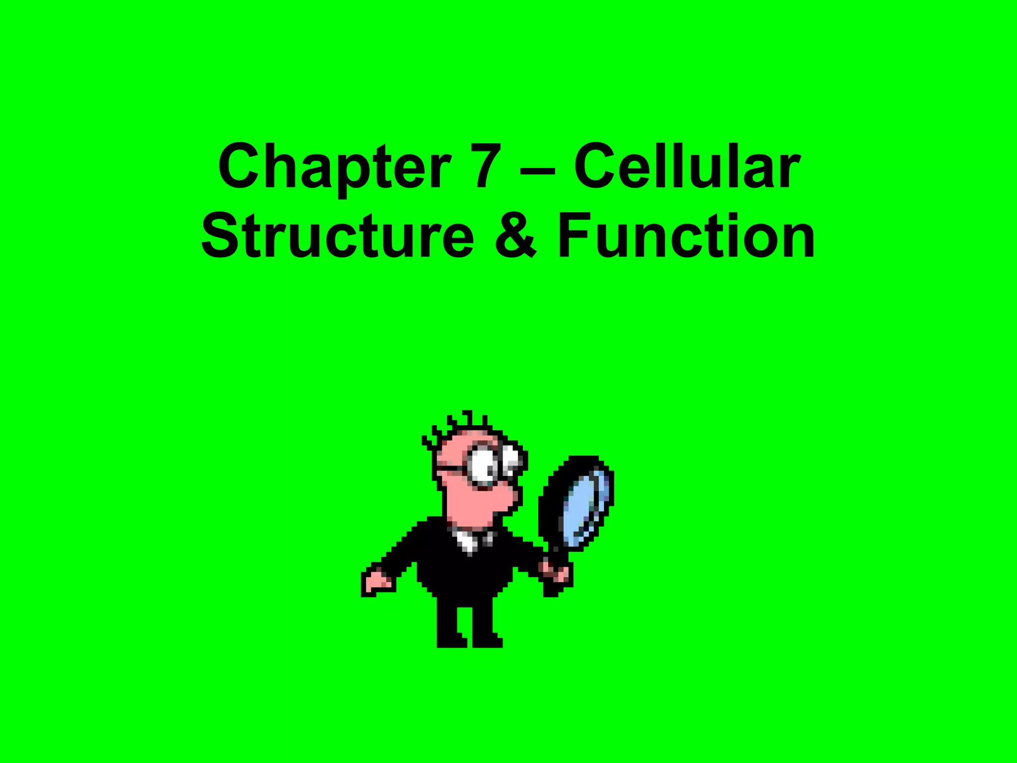 Chapter 7 | PPT