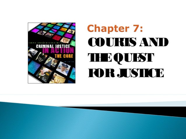 Chapter7 | PPT | Legal Services Industry | Industries