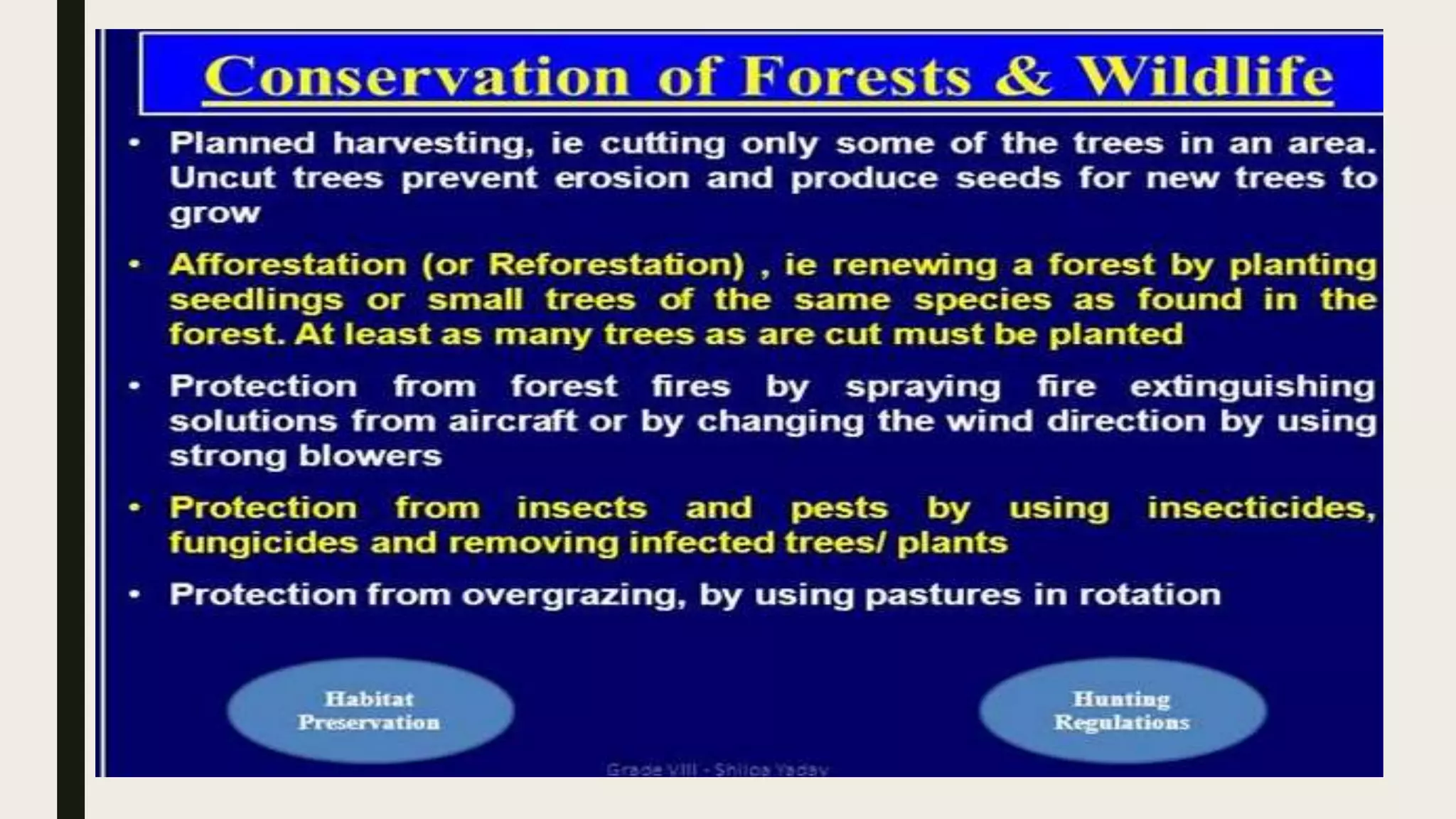 Chapter 7 - Conservation of plants and animals | PPTX