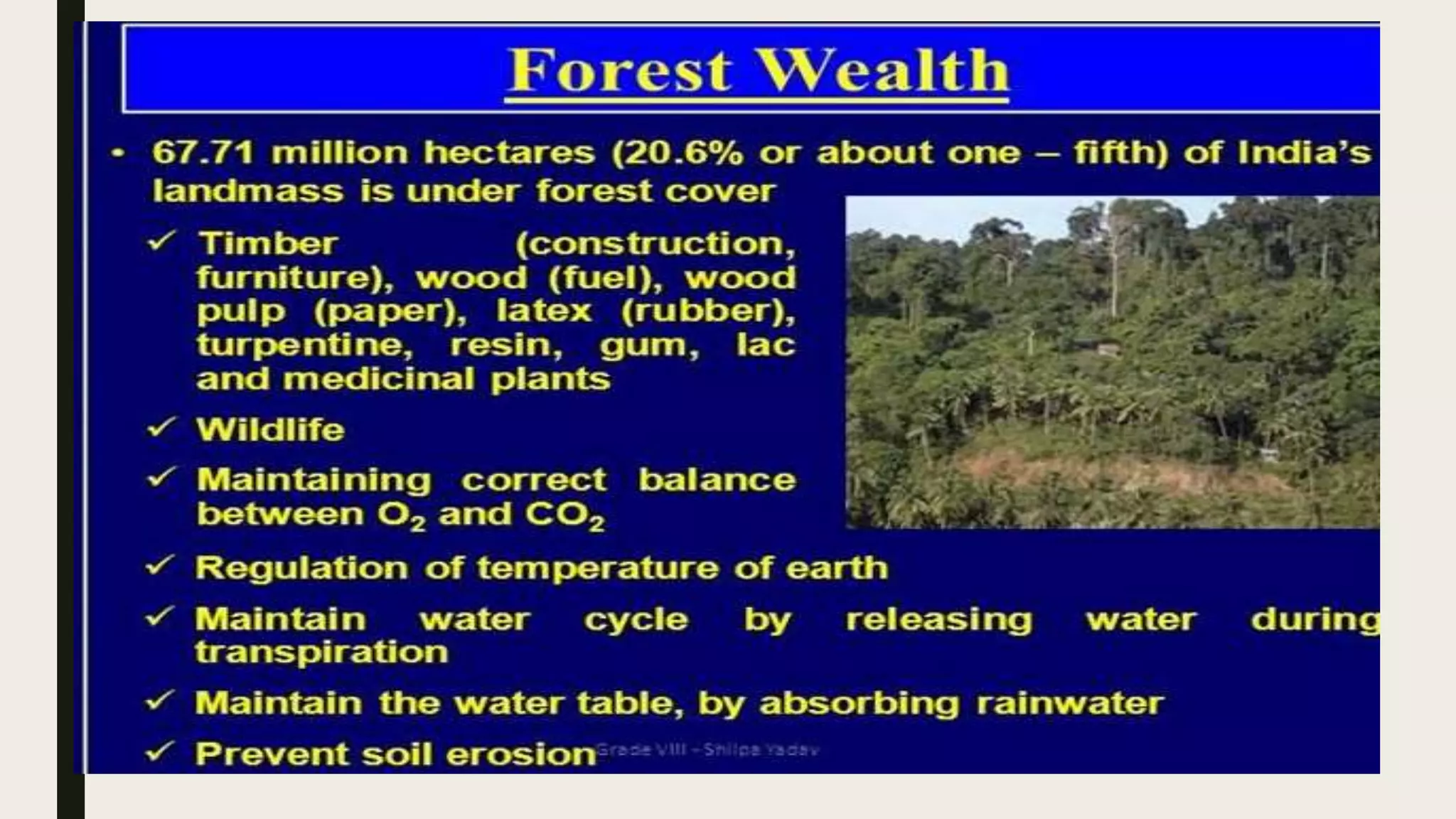 Chapter 7 - Conservation of plants and animals | PPTX
