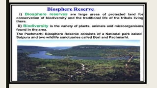 Chapter 7 - Conservation of plants and animals | PPTX