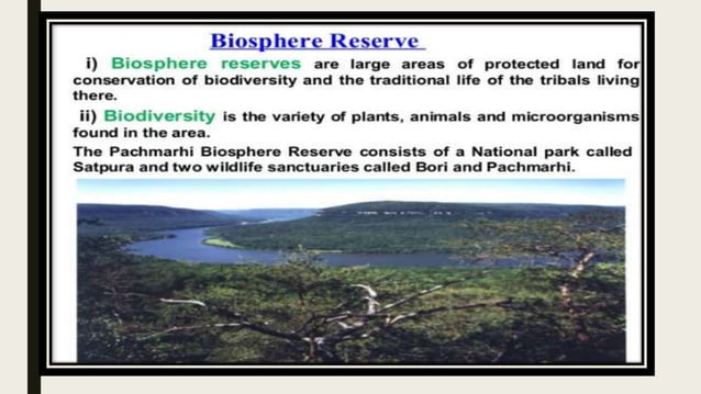 Chapter 7 - Conservation of plants and animals | PPTX