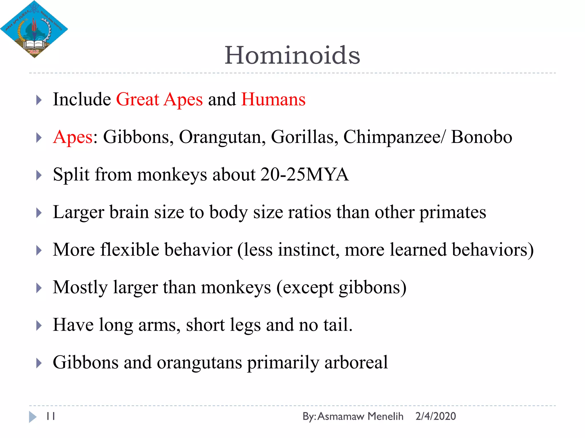 Human Evolution | PDF