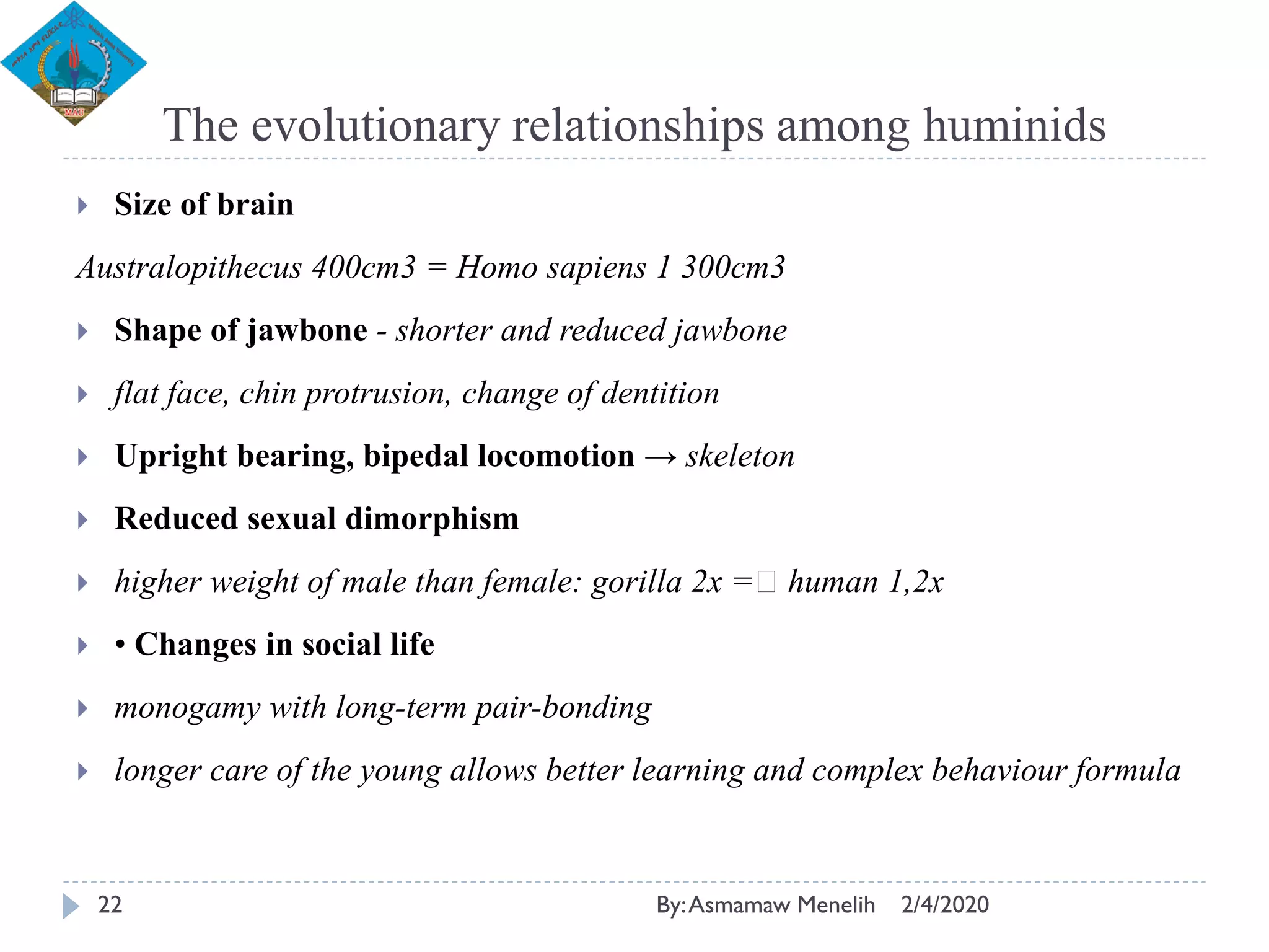 Human Evolution | PDF